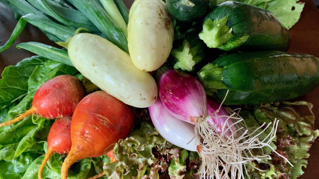 In Defense of Ugly Vegetables — Gregory Josephs